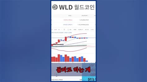 24년 3월2일 빗썸월드코인 스톰엑스분석영상 Bitcoin 비트코인 비트코인선물 Shorts Coin 시바이누 도지코인 Youtube