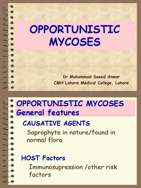Aspergillus Mucor By Dr Saeed 2024 Pdf