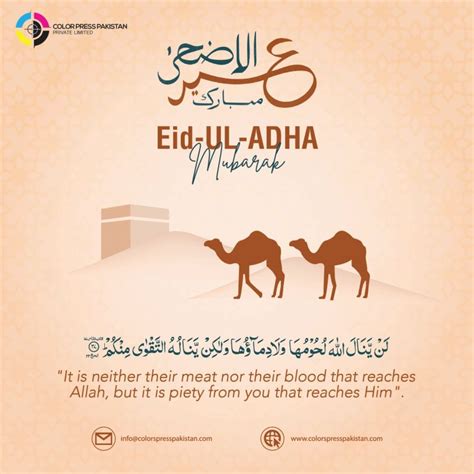 Tehreem R On Linkedin Eiduladha Mubarak Everyone 🤗