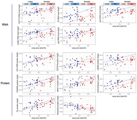 Sex‐dependent And Sex‐independent Regulatory Systems Of Size Variation In Natural Populations Sex‐dependent And Sex‐independent Regulatory Systems Of Size Variation In Natural Populations