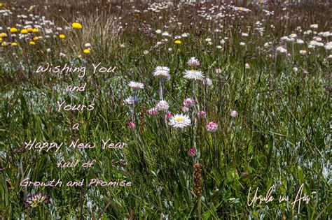 Looking To The Future The Monaro Grasslands Australia Ursulas Weekly Wanders