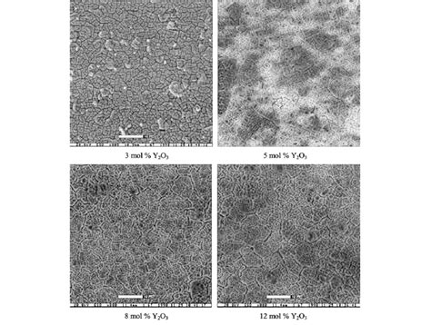 Typical Sem Micrographs Of The Surface Of The Y 2 O 3 Zro 2 Coatings
