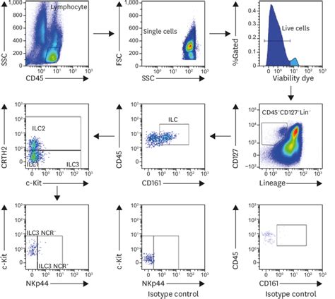 Ilcs Gating Strategy Use To Describe Ilc1s Ilc2s And Ilc3s From Download Scientific Diagram
