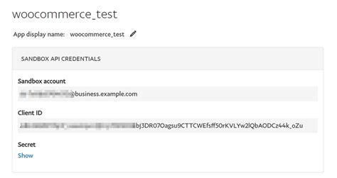 How To Add Paypal To Woocommerce An Easy Guide Pfo