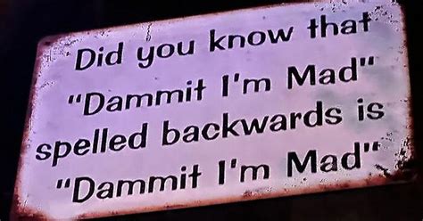 Palindrome Album On Imgur