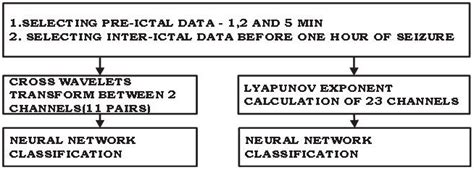 block diagram of epilepsy prediction system using cross wavelets