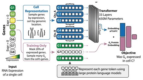 Deeplearningai On Linkedin Thebatch