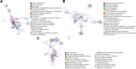 frontiers prediction of drug sensitivity based on multi omics data