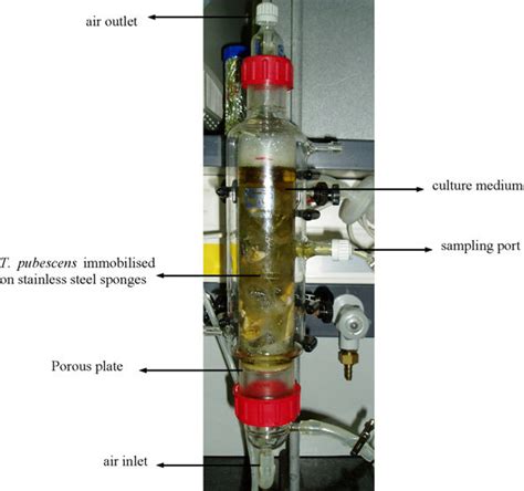 Photograph Of The Bioreactor Used Download Scientific Diagram