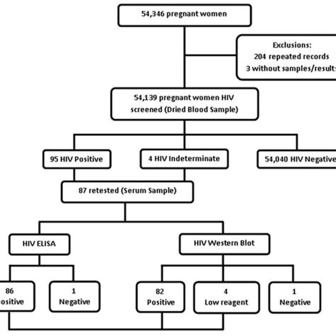Screening Strategy For Hiv 1 Infection Among Pregnant Women Attending Download Scientific
