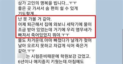 모친상 당한 9년 지기에 앵무새 죽어서 못 가