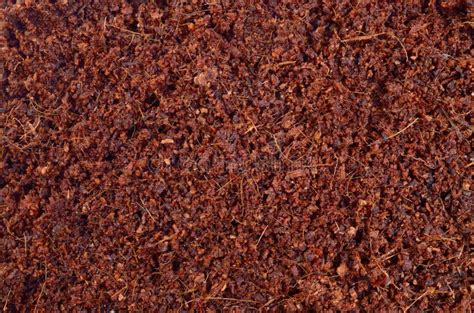 Coconut Coir Substrate For For Agriculture Background Stock Image Image Of Coir Rough 271332385