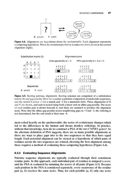 affine gap penalties big chemical encyclopedia