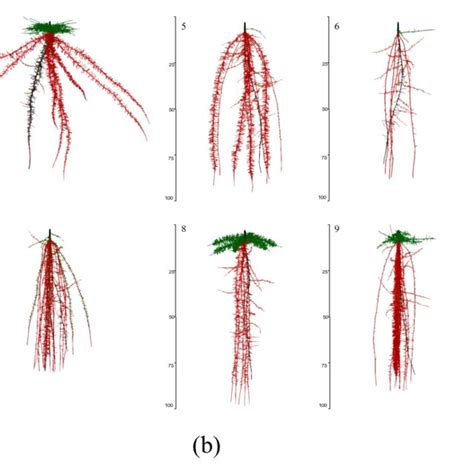 Cluster Heatmap Of Phenotypic Traits Hierarchical Clustering Of A Few Download Scientific
