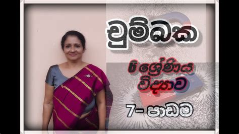 Science Grade 6 Science 7th Lesson Magnetic 6 වසර විද්‍යාව 7 වන පාඩම චුම්බක Youtube