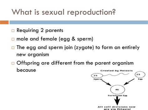 PPT QOTD PowerPoint Presentation Free Download ID 5405845