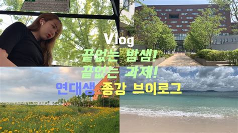 Vlog 끝없는 밤샘과 과제📚 다사다난했던 1학년 1학기 종강 브이로그 연대생 종강 성적 발표날 기념😱 영어회화알바 새내기 기말고사🤦‍♀️ Youtube