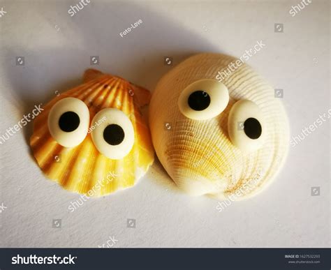 Sea Shell Memes