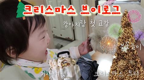 10개월 아기의 인생 첫 크리스마스 그리고 지독한 먹태기 Youtube