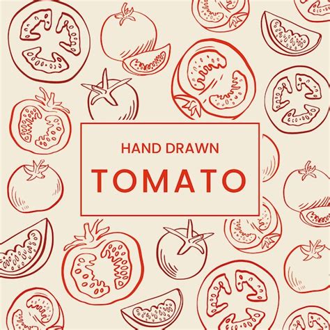Premium Vector Hand Drawn Tomato Art