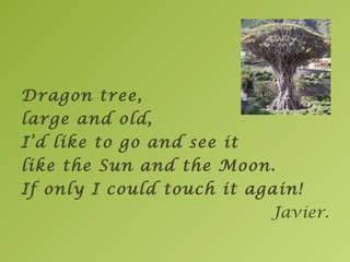 Poems And Trees PPT