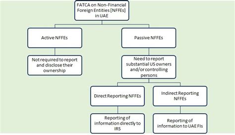 Application Of Fatca On Non Financial Foreign Entities Nffes