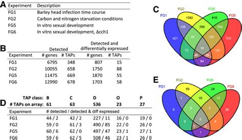 Genes Expressed In Transcriptomics Experiments A Gene Expression Download Scientific Diagram