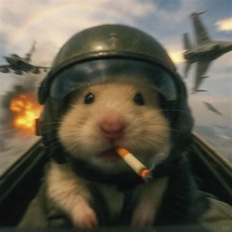 251 Funny Profile Picture Ideas To Brighten Your Feed