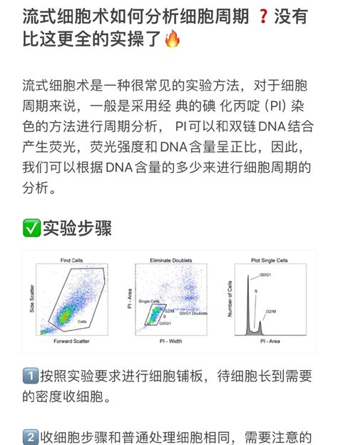 🔬流式细胞术：pi染色全攻略