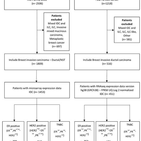 Hierarchical Clustering For The Shortlisted Genes Hierarchical