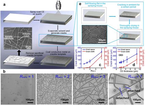 Fabrication Process And Optical And Sem Characterizations Of The Ct Mm