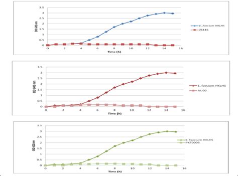 Effect Of Bacteriocin Produced By A Lactobacillus Plantarum Strain