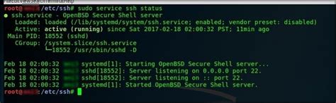 raspberry pi с ssh как активировать установить и подключиться