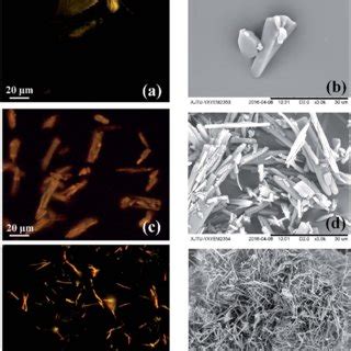 Chemical Structure Of Loratadine Download Scientific Diagram