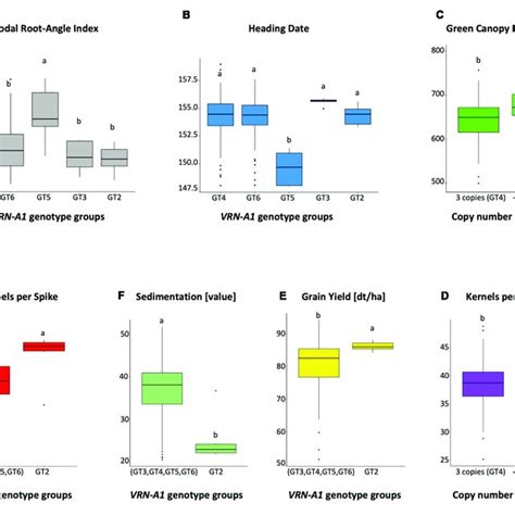 Boxplots Showing Pairwise Comparisons Between Genotype Groups