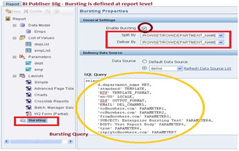 Bi Direct Oracle Business Intelligence 111160 Bi Publisher