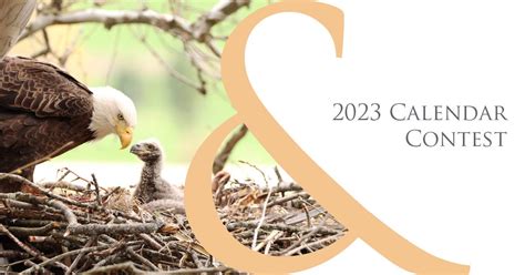 Thomas Maclin Posted On Linkedin