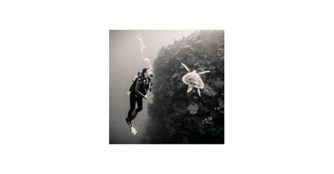 Sally Jeanne Byrd Obituary 2024 Bunnell Fl Heritage Funeral