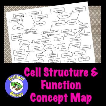 Cell Structure And Function Concept Map By Brilliant Biology TPT