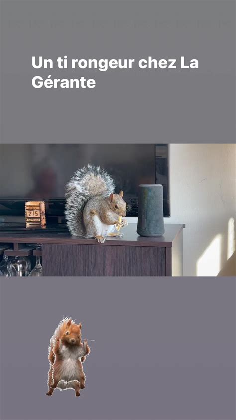 Soirée Insolite Mercredi 12 Mars 2025 19h Soirée Insolite