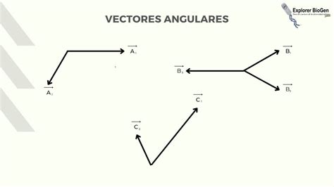 Vectores Definición Sistemas Y Escalas Explorer Biogen