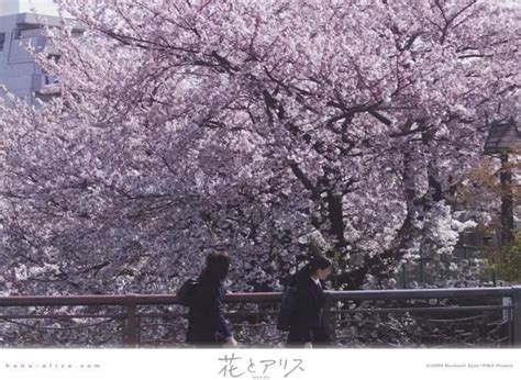 花与爱丽丝 堆糖，美图壁纸兴趣社区