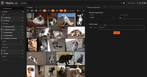 10 Weeks Of Building Fiftyone Plugins Voxel51