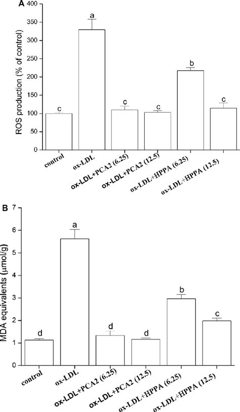 Effect Of Pca2 And Hppa On Ox Ldl Induced Oxidative Stress In