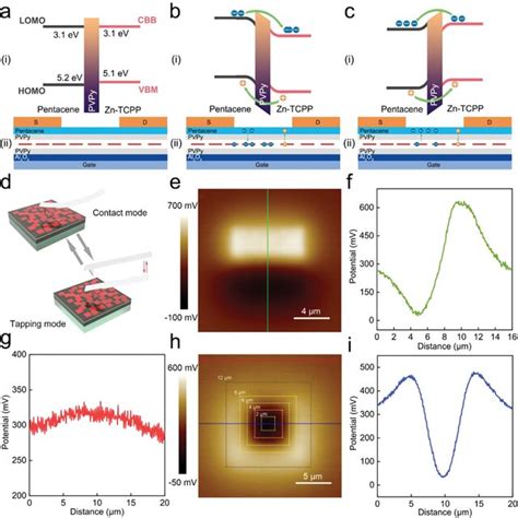 A Zn‐tcpp Nanosheets Synthetic Process I Zn2coo4 Ii Tcpp Iii Download Scientific Diagram