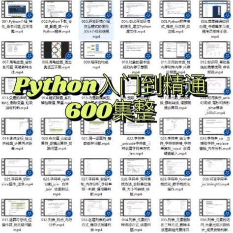 2023全套python入门笔记合集（电子书网课视频实战项目学习导图）无偿 哔哩哔哩