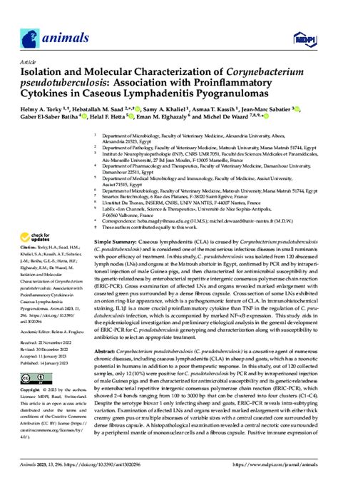 Pdf Isolation And Molecular Characterization Of Corynebacterium Pseudotuberculosis