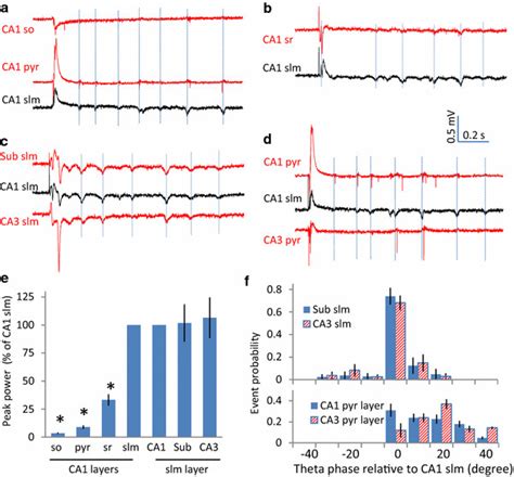 Hippocampal Theta Oscillations Were Led By Tapp Pathway Inputs A Download Scientific Diagram