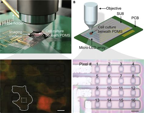 Experimental Setup A One Micro Led Array Wired Bonded Onto A Printed