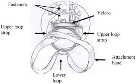 Drawing Of The Posterior View Of The Cervical Isolation Collar For Download Scientific Diagram